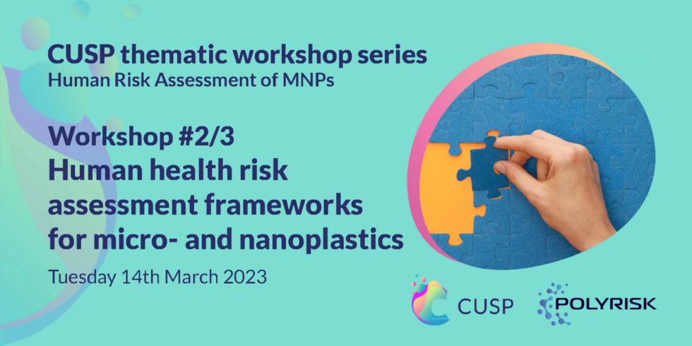 CUSP and POLYRISK workshop on human health risk assessment frameworks for mico- and nanoplastics ...