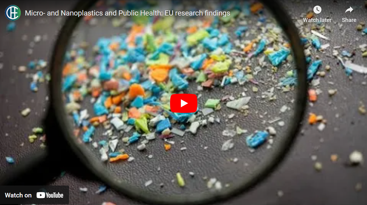 Webinar recording - Micro- and Nanoplastics and Public Health - POLYRISK
